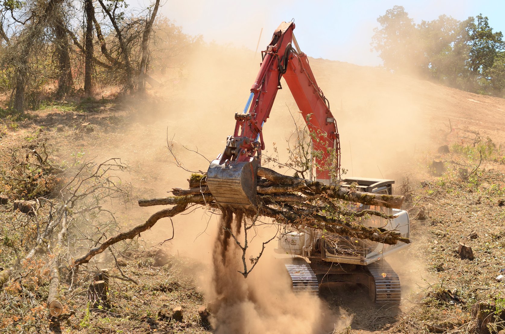 Site Clearing or Earth Disturbance Zoning Permit | Designblendz