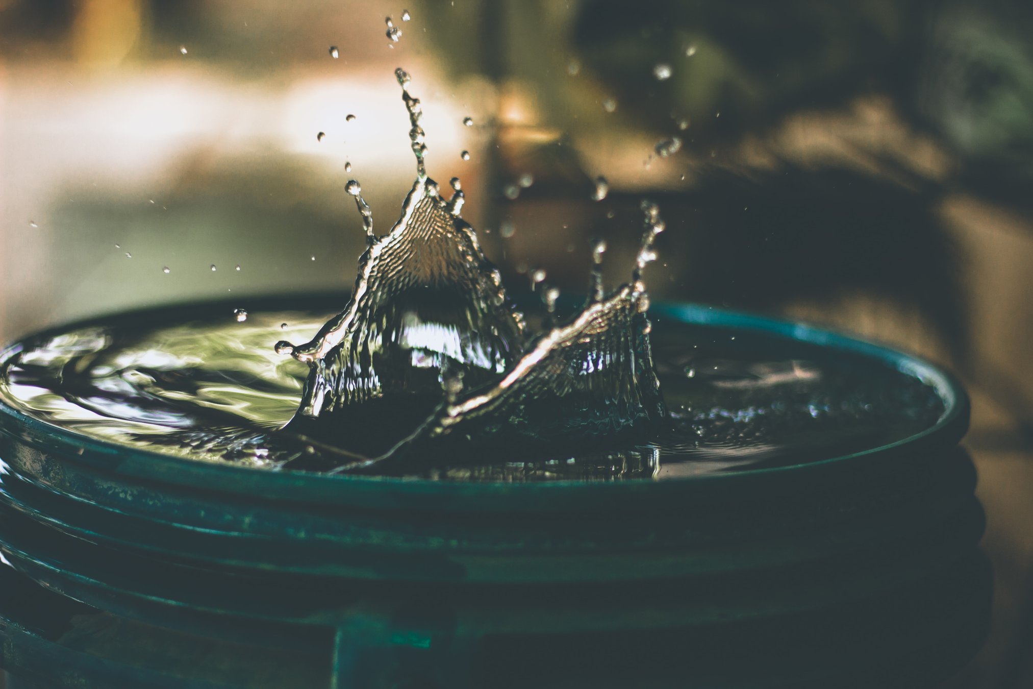 How Architects Design Homes to Reduce Water Waste
