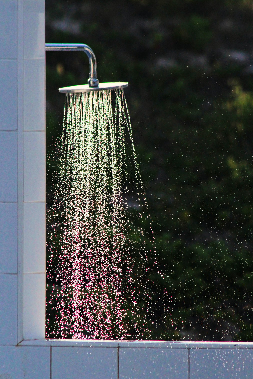 How Architects Design Homes to Reduce Water Waste